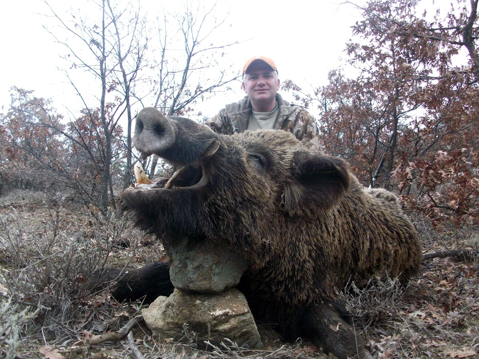TURKEY- WILD BOAR | Turkish Frontier