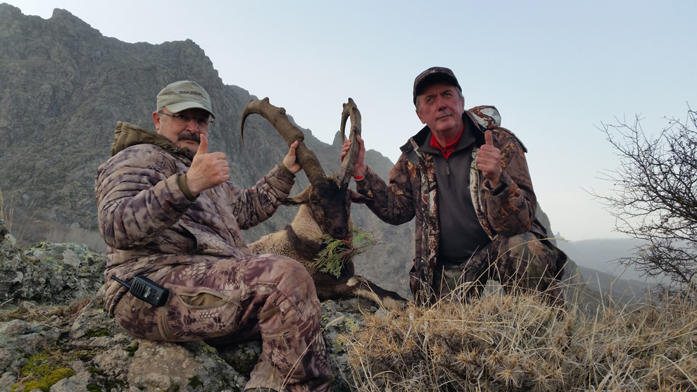 TURKEY- BEZOAR IBEX | Turkish Frontier