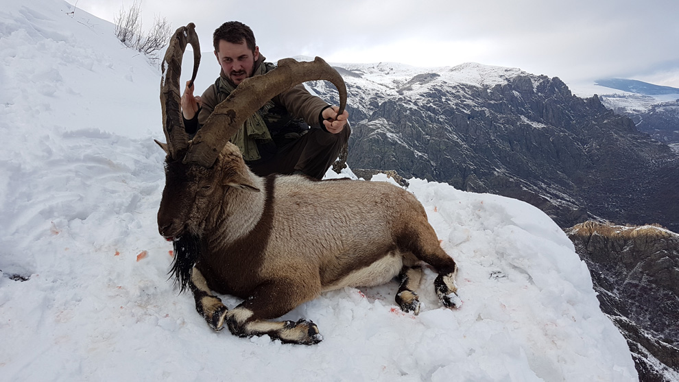 TURKEY- BEZOAR IBEX | Turkish Frontier