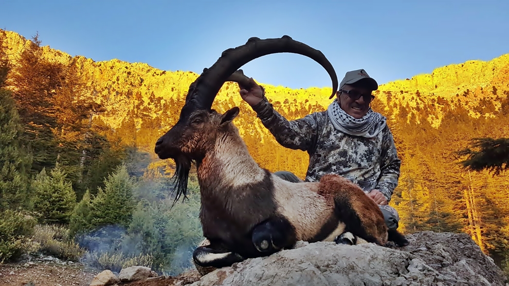 TURKEY- BEZOAR IBEX | Turkish Frontier